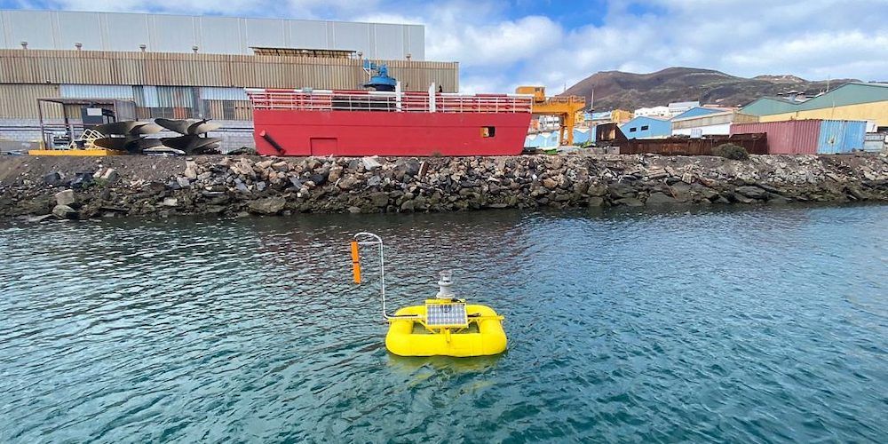 La Autoridad Portuaria de Las Palmas apuesta por el respeto ...